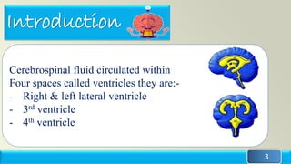 Cerebrospinal fluid (CSF) production, circulation and absorption | PDF