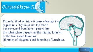 Cerebrospinal fluid (CSF) production, circulation and absorption | PDF