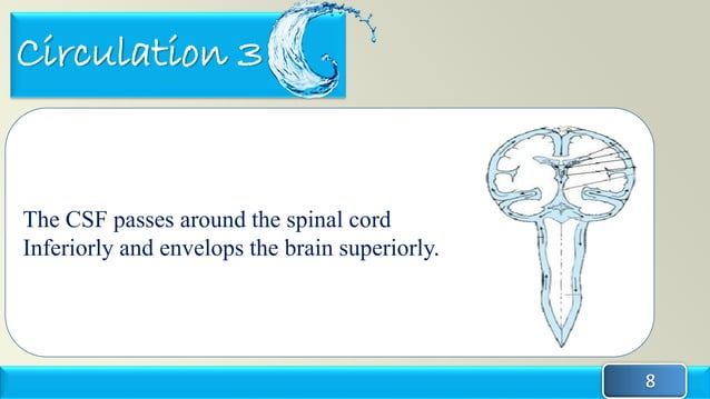 Cerebrospinal fluid (CSF) production, circulation and absorption | PDF ...