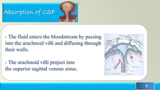 Cerebrospinal fluid (CSF) production, circulation and absorption | PDF