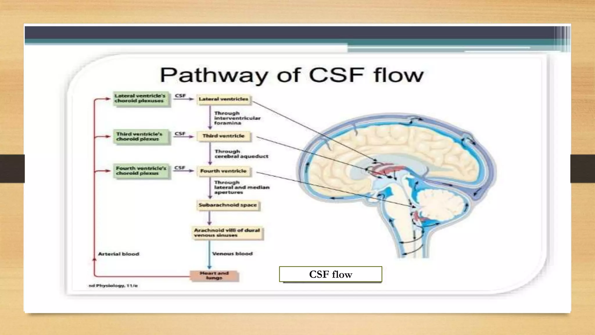 Csf rhinorrhea | PPTX