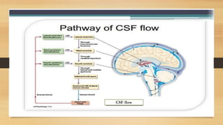 Csf rhinorrhea | PPTX
