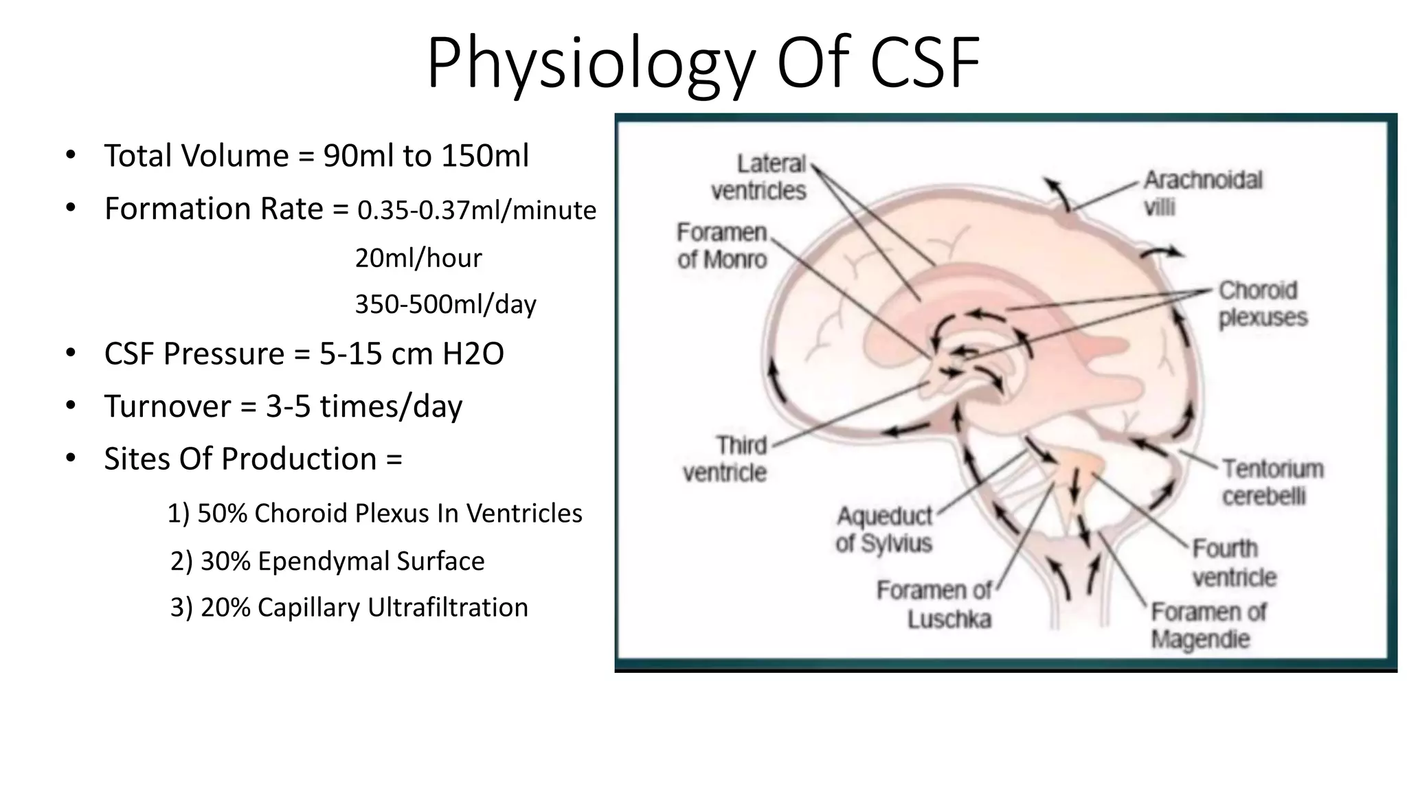 CSF Rhinorrhea | PPTX