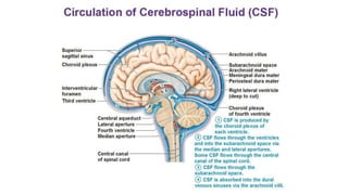 CSF RHINORRHOEA.pptx