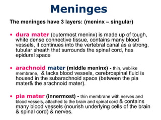 Csf & ventricles | PPT