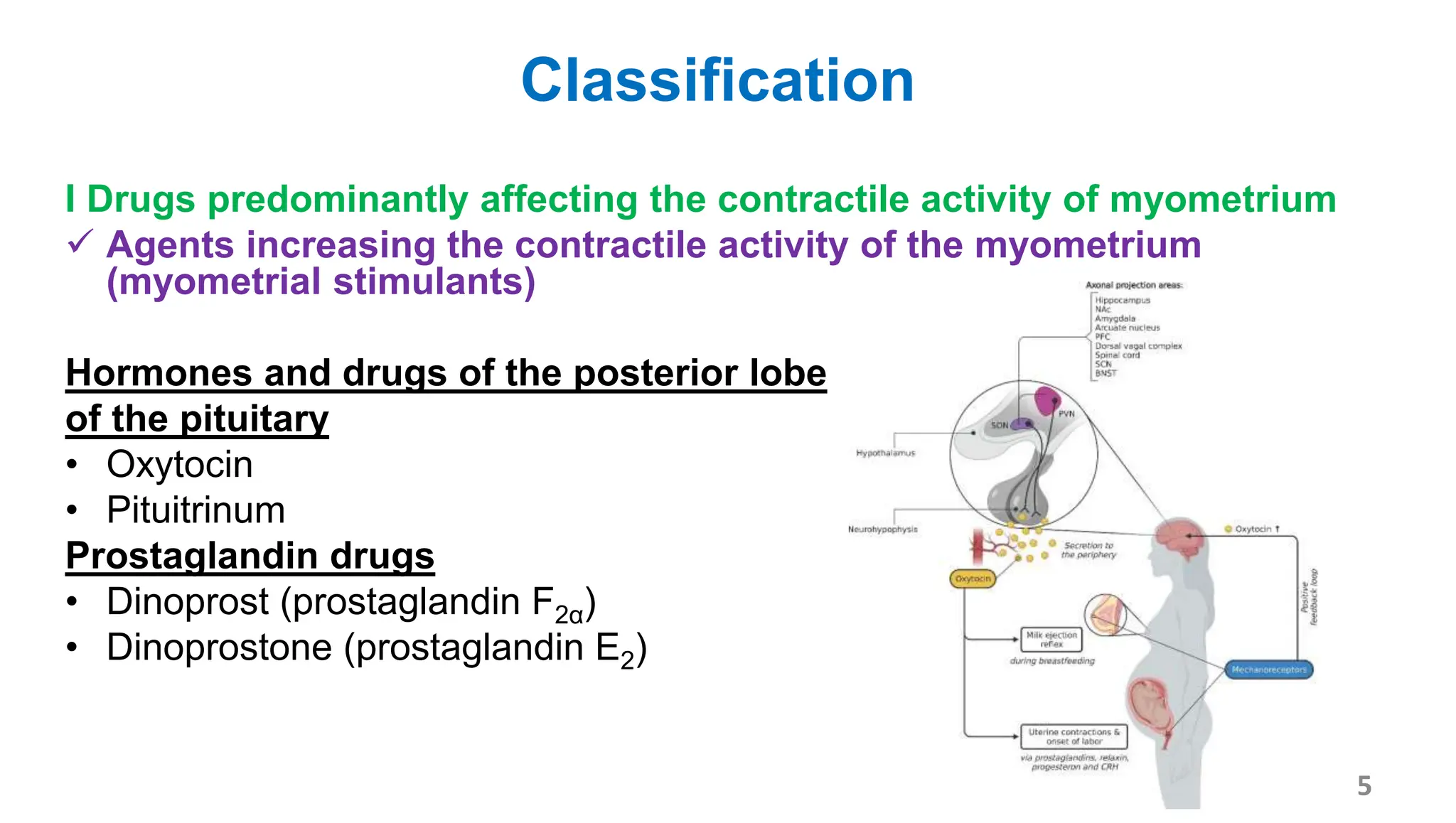 Drugs_affecting_myometrium_ pharmacology.pptx