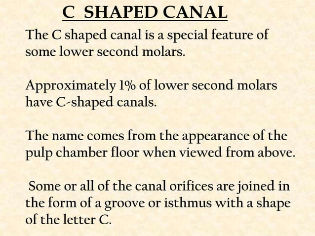 C shaped canal | PPTX