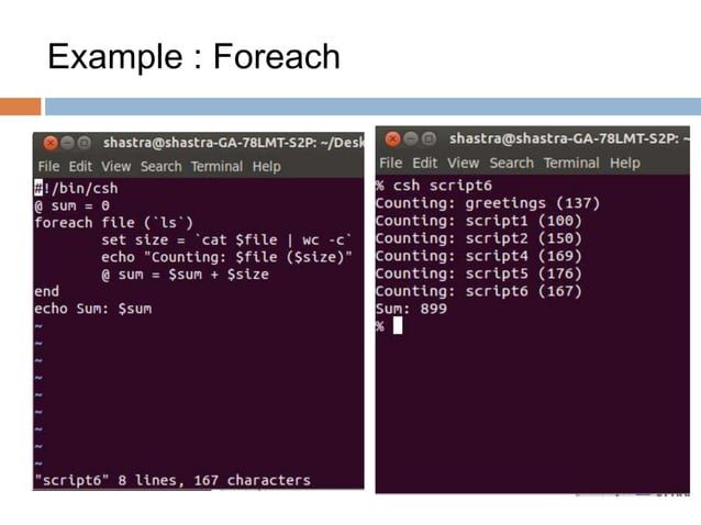 First steps in C-Shell | PPTX