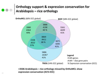Dissecting plant genomes with the PLAZA 2.5 comparative genomics ...