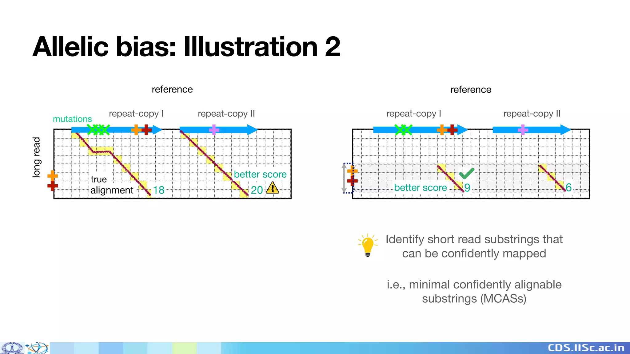 Winnowmap2: A long read mapping method for highly repetitive reference ...