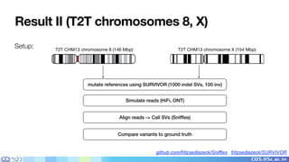 Winnowmap2: A long read mapping method for highly repetitive reference ...