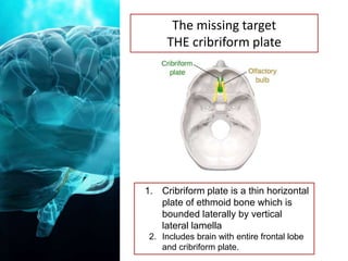 PRACTICALITY OF CRANIOSPINALIRRADIATION | PPTX