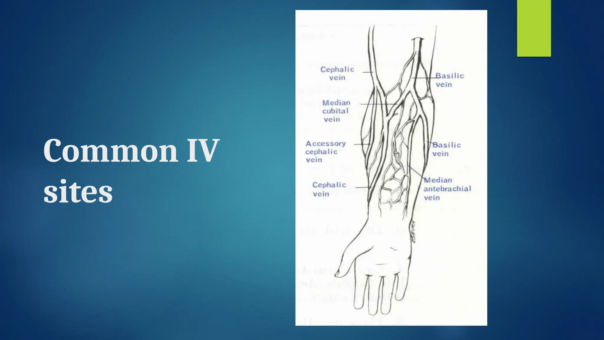 CSI 201 Skills Lab_1_IV_Venipuncture_Update_5_25_2021 (1).pptx