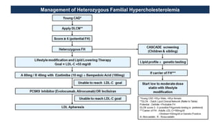 CSI clinical practice guidelines for dyslipidemia management.pptx
