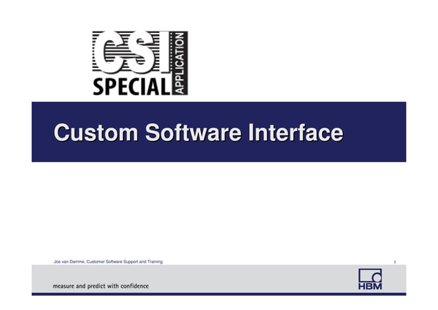 Csi custom software-interface | PDF | Web Development | Internet