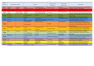 Csigolyakapcsolatok | DOC