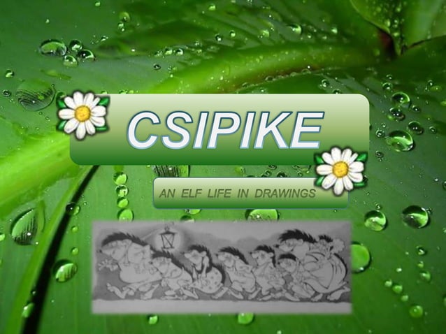 CSIPIKE,the elf | PPTX