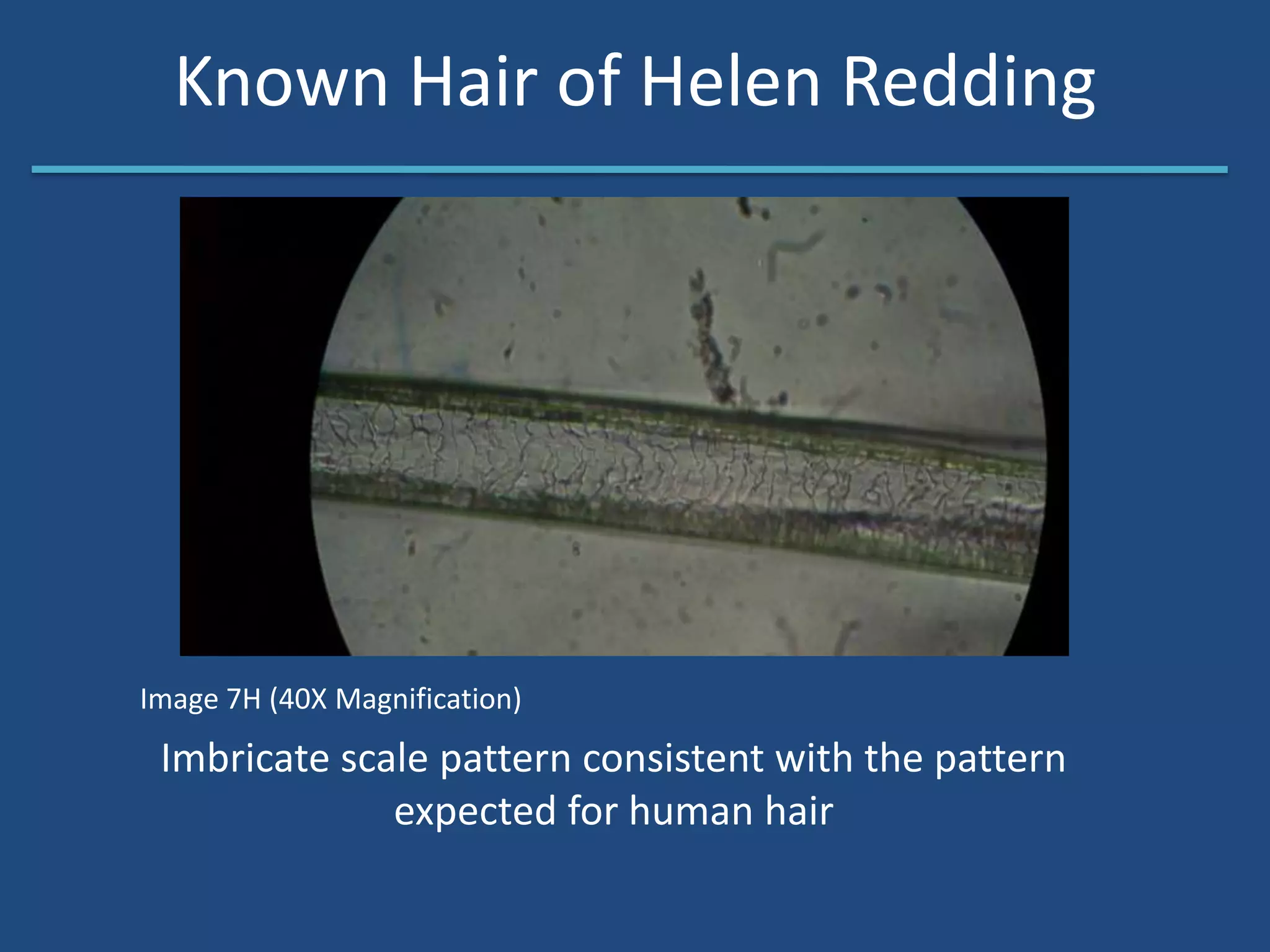 Csi presentation | PPTX