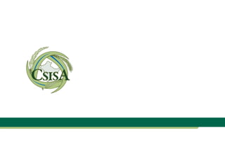 Csisa M S Rao | PPT