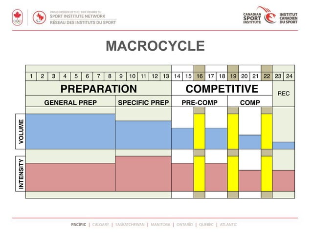 Periodization | PPTX | Physical Therapy | Wellness