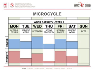 Periodization | PPTX