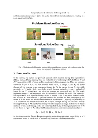Stride Random Erasing Augmentation | PDF