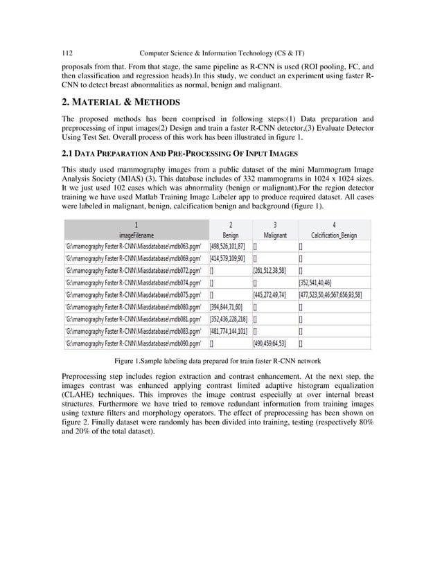 MAMMOGRAPHY LESION DETECTION USING FASTER R-CNN DETECTOR | PDF | Photo Editing Software ...