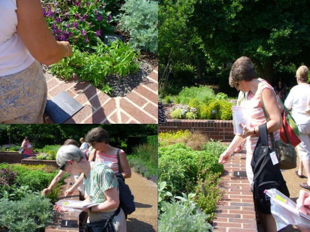 Csi Teacher Ppt Distribution Copy | PPTX