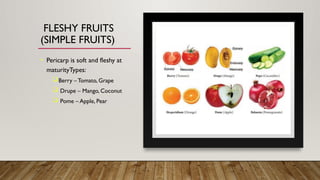 Classification of fruits ( An Overview ) | PPTX
