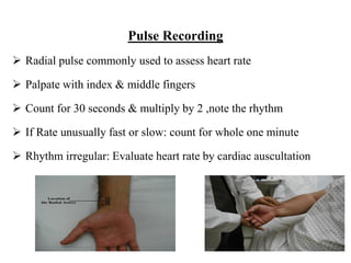 CSK vital sign 2022.pdf
