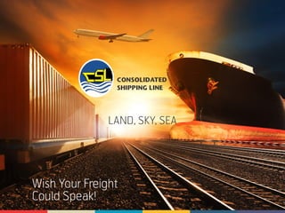 Freight Forwarding Company- Consolidated Shipping Line | PDF
