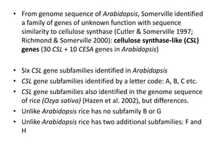 cellulose signaling | PDF