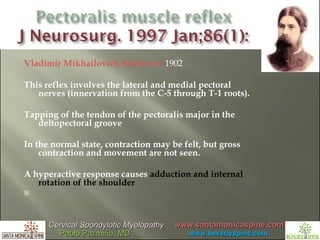 Cervical Arthritis / Cervical Spondylotic Myelopathy / Cervical ...