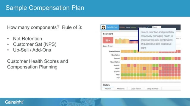 Customer Success Incentives and Compensation | PPT