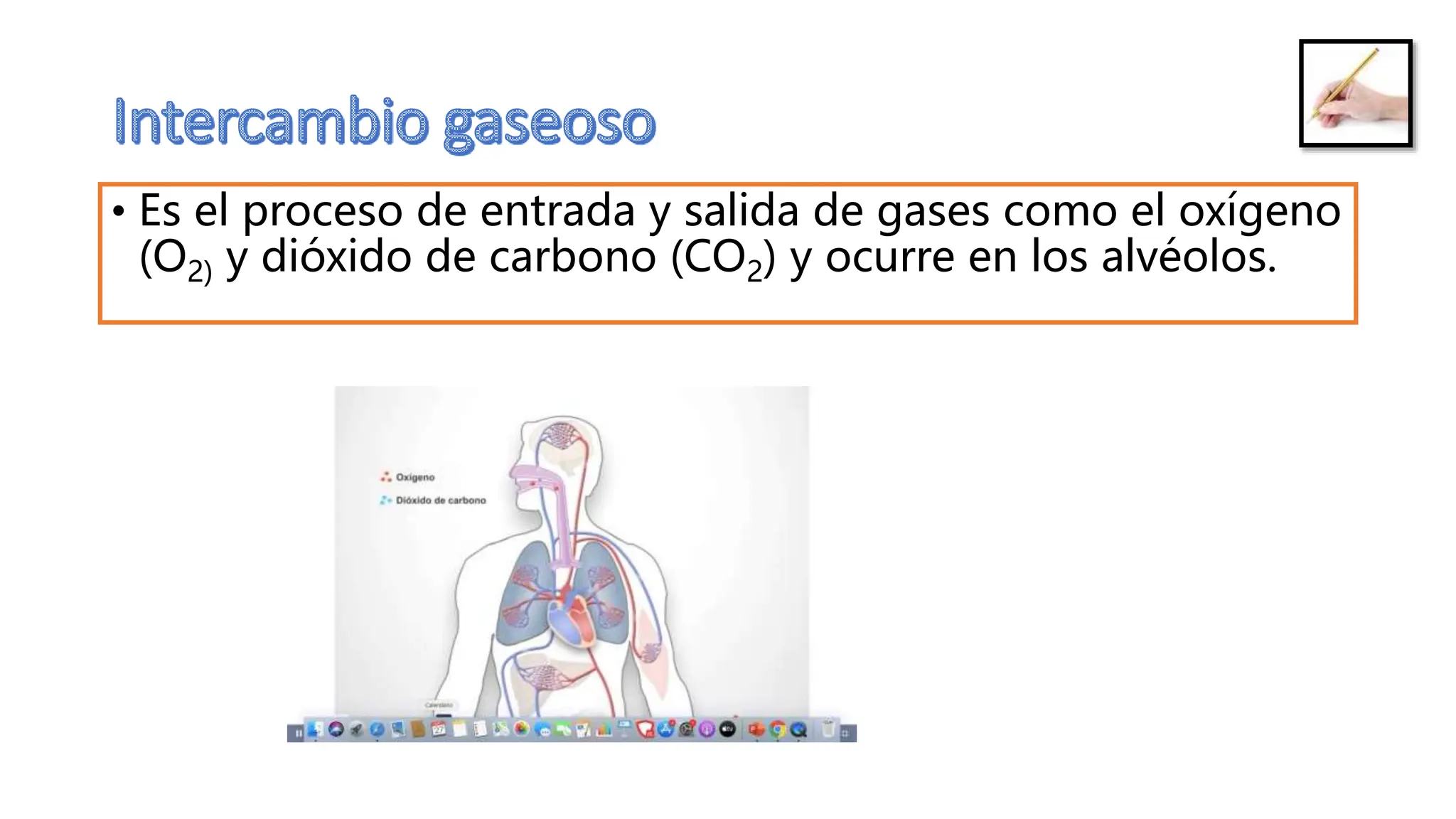 Cs naturales 5º_Clase 10-06 intercambio gaseoso.pptx