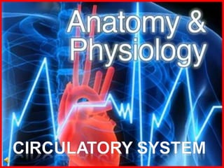 Cardiovascular and Circulatory System notes | PPT