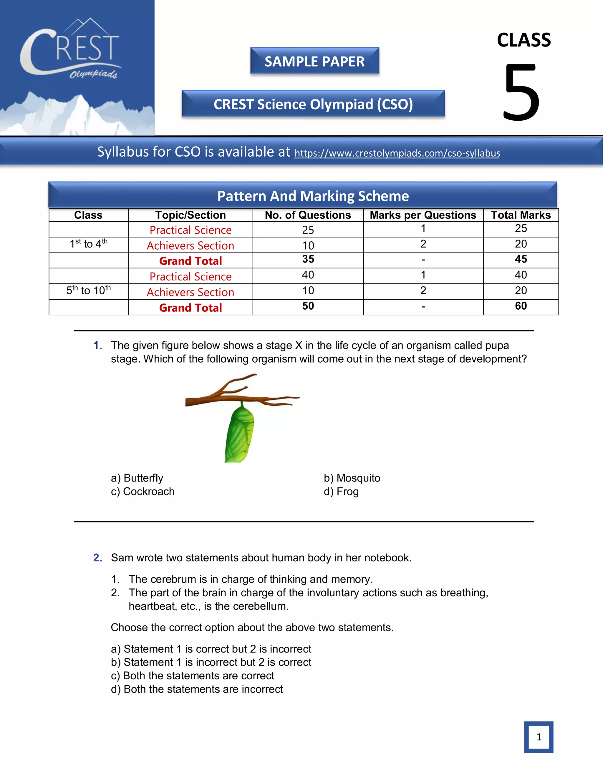Cso sample-papers-for-class-5 | PDF