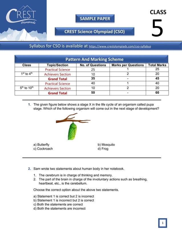 Cso sample-papers-for-class-5 | PDF