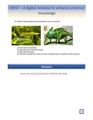 Cso sample-papers-for-class-5 | PDF