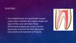 Cleaning & Shaping of Root Canals .pptx