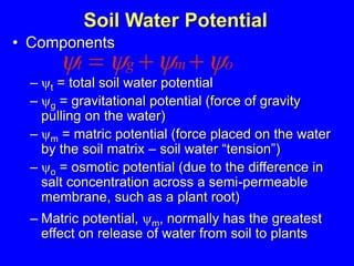 C Soil Water Relationships.ppt