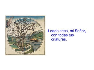 Cántico de las criaturas / Francisco de Asís | ODP