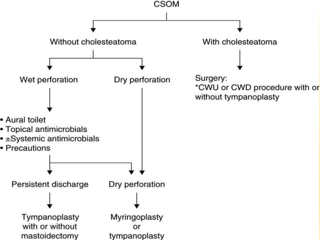 Chronic suppurative otitis media | PPTX | Ear, Nose and Throat ...
