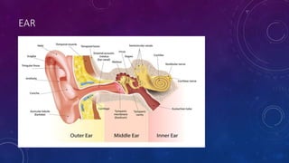CSOM atticoantral.pptx