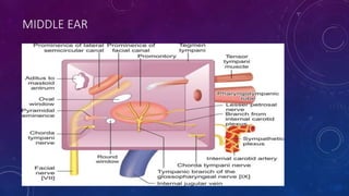 CSOM atticoantral.pptx
