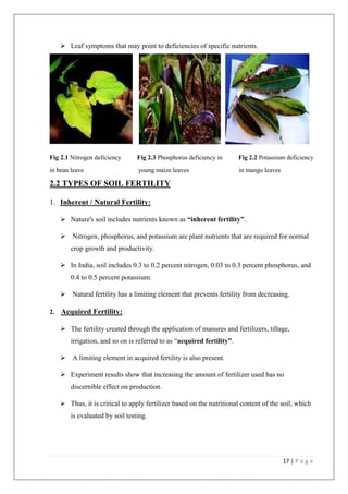 soil fertility | DOCX