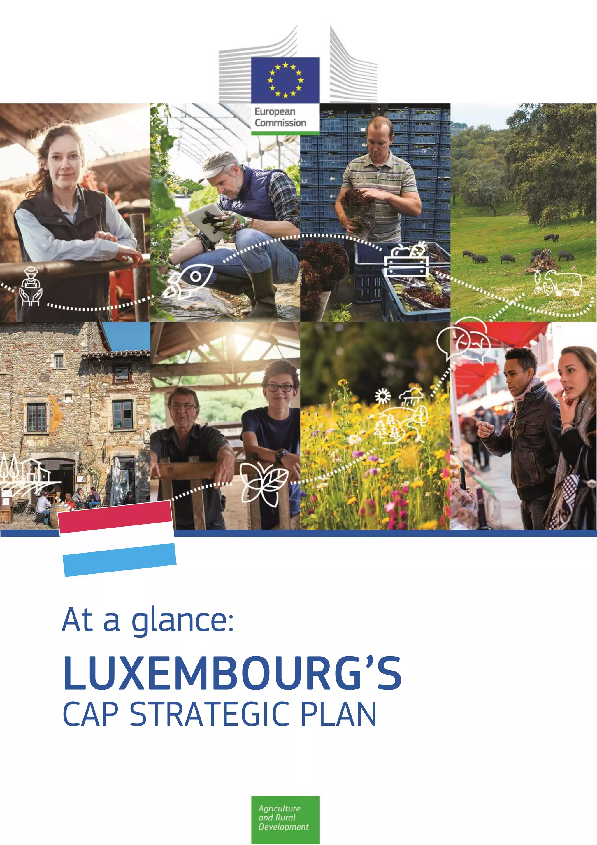AT A GLANCE: LUXEMBOURG’S CAP STRATEGIC PLAN | PDF