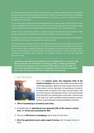 AT A GLANCE: LUXEMBOURG’S CAP STRATEGIC PLAN | PDF