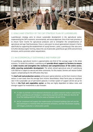 AT A GLANCE: LUXEMBOURG’S CAP STRATEGIC PLAN | PDF