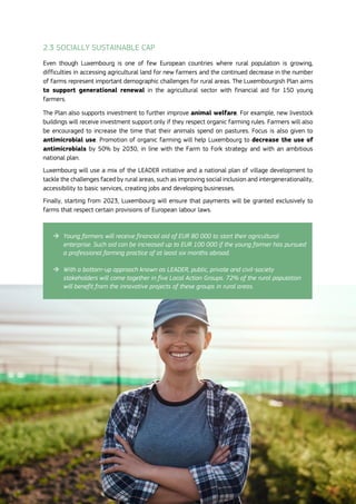 AT A GLANCE: LUXEMBOURG’S CAP STRATEGIC PLAN | PDF